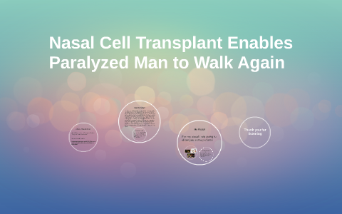 Nasal Cell Transplant Enables Paralyzed Man To Walk Again by Danielle ...