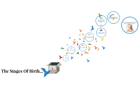 The Stages Of Birth... by Evie Hardy