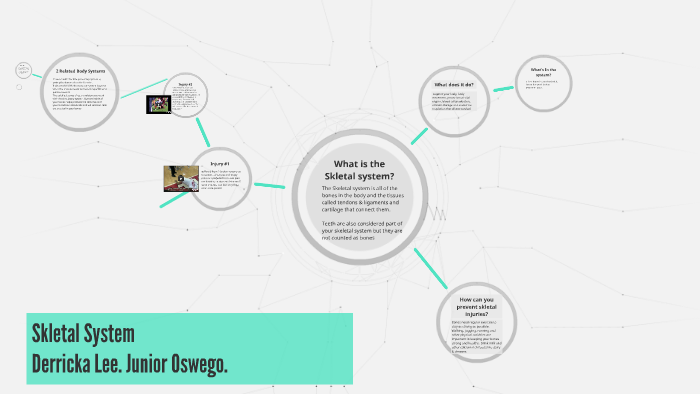 Skletal System by Derricka Lee