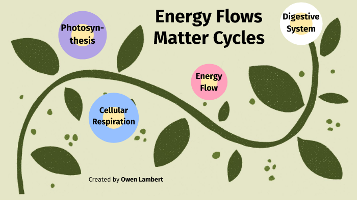 Energy Flows - Matter Cycles by Owen Lambert on Prezi