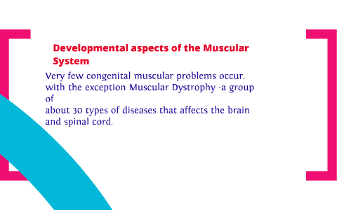 Development Aspects of the Muscle System by Shandea Dixon on Prezi