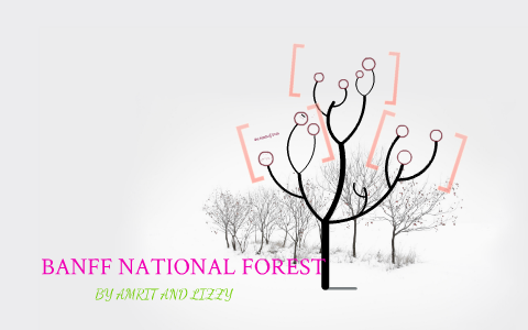 Banff National Forest by amrit atwal on Prezi