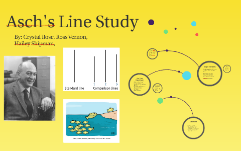 Asch's Line Study by Hailey Shipman on Prezi