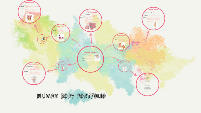 Human Body Portfolio by Chloe Mohr on Prezi
