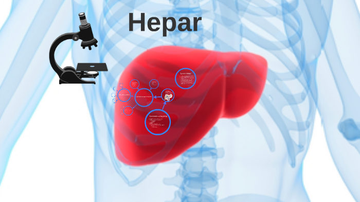 Hepar by Karoline Hjortebjerg on Prezi