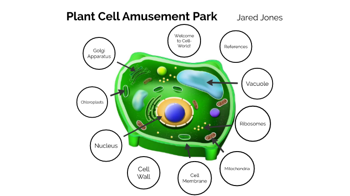 Plant Cell Amusement Park - Jared Jones by Jared Jones on Prezi