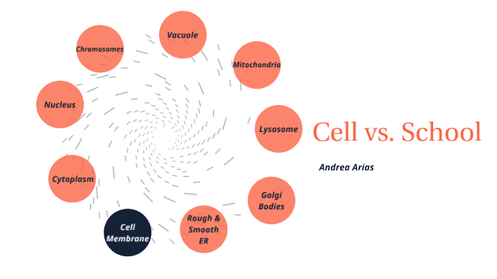 Cell analogy-School by ANDREA ARIAS on Prezi