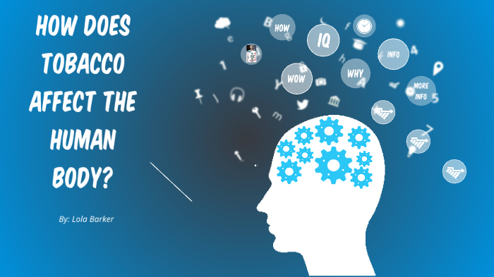 How does tobacco affect the human body? by Lisa Barker on Prezi