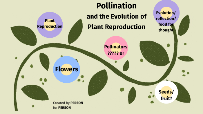 Pollination and the Evolution of Plant Reproduction by Renata Fletcher ...
