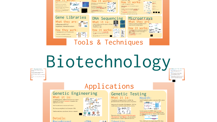 AP Bio - Molecular Genetics: Biotechnology by Christopher Himmelheber ...