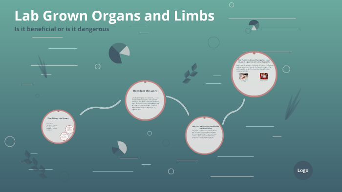 Lab grown organs and limbs by nicholas Bower on Prezi