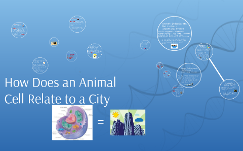 How Does an Animal cell relate to a City by Trevor Baumgardner on Prezi