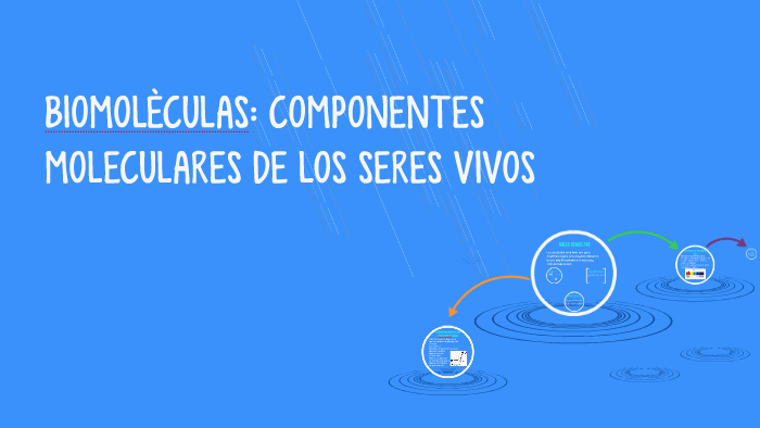 BIOMOLECULAS: COMPONENTES MOLECULARES DE LOS SERES VIVOS by Guadalupe ...