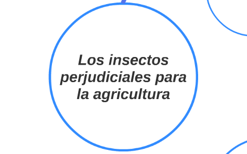 Los insectos perjudiciales para la agricultura by on Prezi