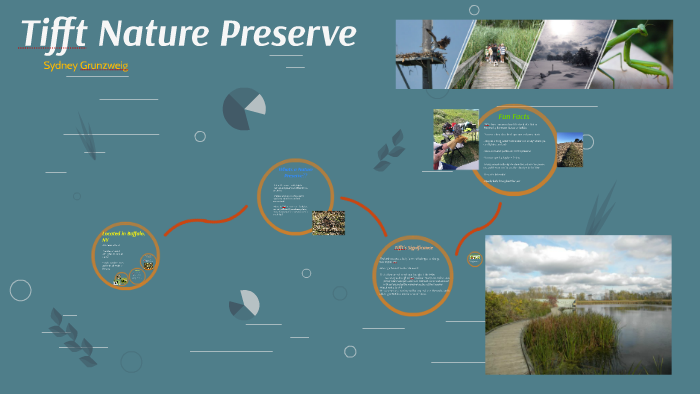 Tifft Nature Preserve by sydney grunzweig on Prezi