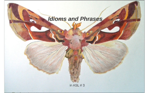 Idioms and Phrases in ASL #3 by Lisa Koch on Prezi