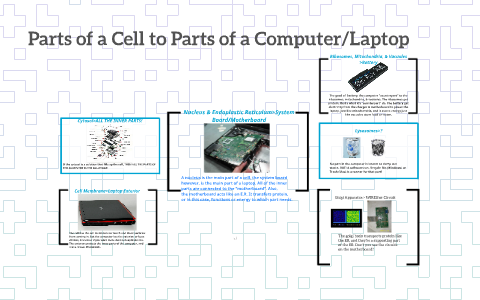 Parts of a Cell to Parts of a Computer/Laptop by Richard Enrico Ramos ...