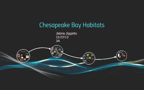 Chesapeake Bay Habitats by Jabria Jiggetts on Prezi