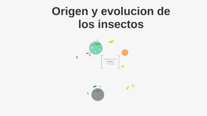 Origen y Evolución de los insectos by Armando Alejandre on Prezi