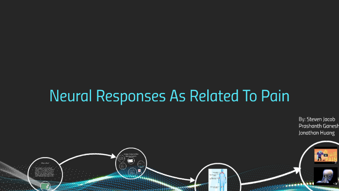 Neurotic Synapses Relations to Pain by Steven Jacob on Prezi