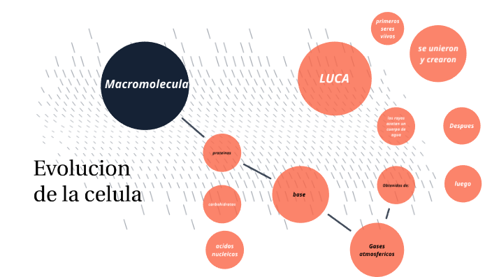 Evolucion De Las Celulas By Daniela Gonzalez On Prezi