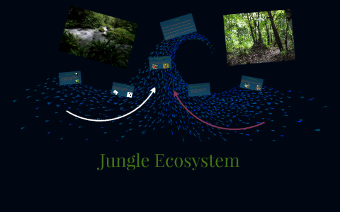 Jungle Ecosystem by Luis Herrera on Prezi