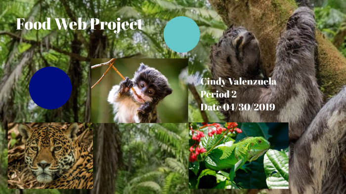 Food Web Project Rubric by cindy valenzuela on Prezi