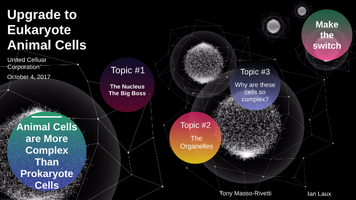 BIO project Masso-Rivetti and Laux by Anthony Masso-Rivetti