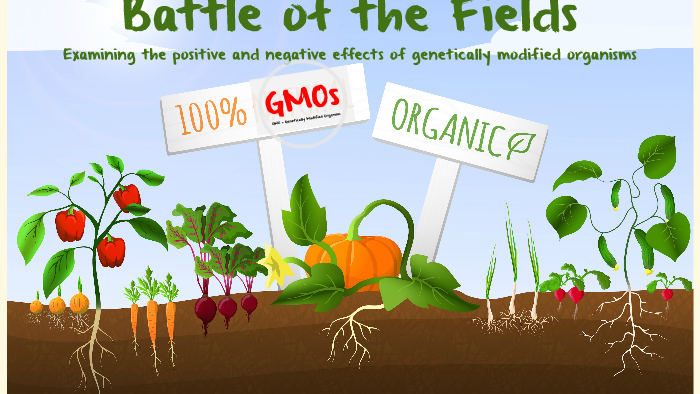 GMO Group -BIO 101- by Matt Ives on Prezi