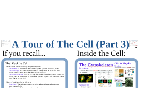 AP Bio - Cells 3: Structure & Support by Jessica Gregerson on Prezi