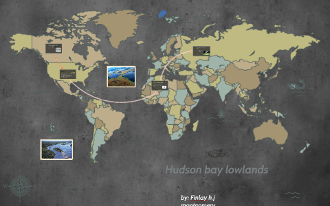 Hudson bay lowlands by Finn M on Prezi