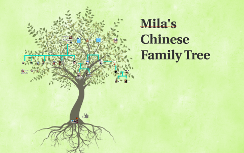 Chinese Family Tree by Mila HH on Prezi