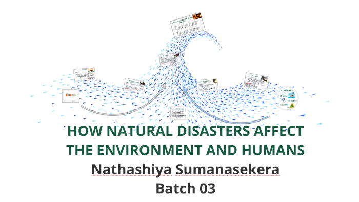 HOW NATURAL DISASTERS AFFECT THE ENVIRONMENT AND HUMANS by nathashiya ...