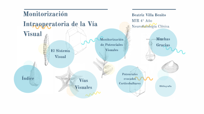 Vía Visual en Quirófano by Beatriz Villa Benito
