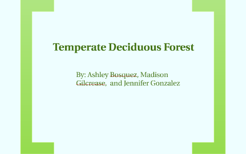 Temperate Deciduous Forest Biome by Ashley Bosquez on Prezi