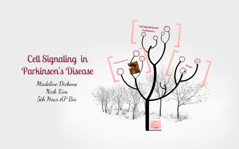 Cell Signaling and Disease Project by Madeline Dickens on Prezi