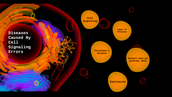Diseases Caused By Cell Signaling Errors by Stephen Karas on Prezi