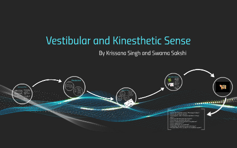 Vestibular and Kinesthetic Sense by Swarna Sakshi on Prezi