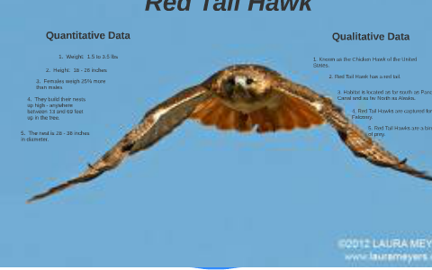 ://encrypted-tbn2.gstatic.com/images?q=tbn:ANd9GcQ94IQTCQpl2 by jackson ...