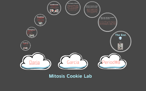 Mitosis Cookie Lab by on Prezi