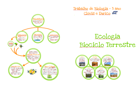 Biociclo Terrestre - biologia. by Clóvis Kuhn on Prezi