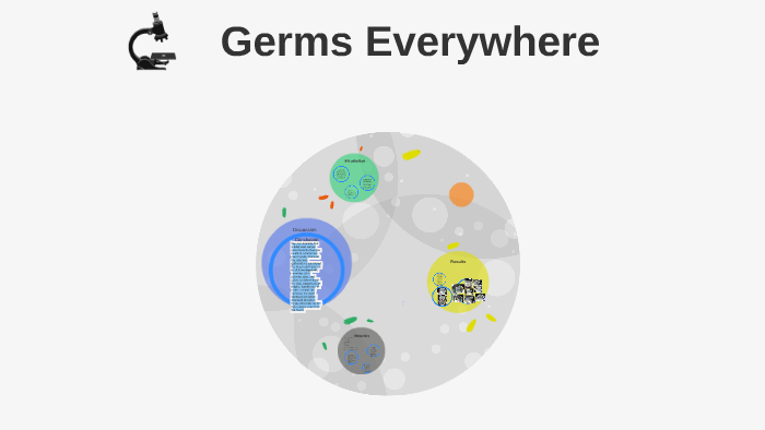 Germs Everywhere by Bria Massey on Prezi