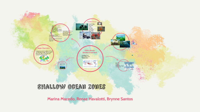 Shallow Ocean Zones by Marina Rose on Prezi