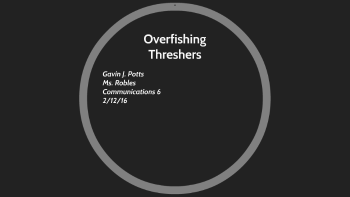 Overfishing Threshers by gavin potts on Prezi