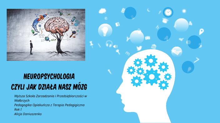 Neuropsychologia czyli jak działa nasz mózg by ALICJA DANIUSZENKO on Prezi