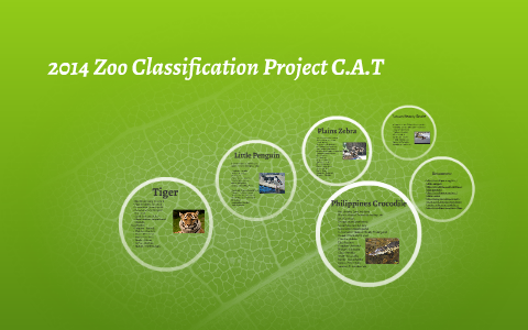 Zoo Classification Project 2014 by Wow, Exciting