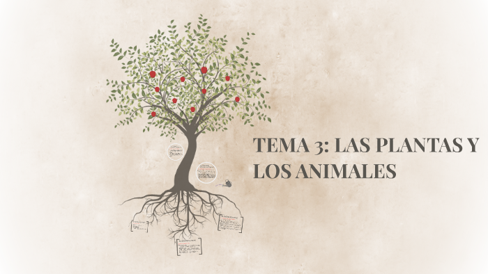 TEMA 3: LAS PLANTAS Y LOS ANIMALES by Juan Caballero on Prezi