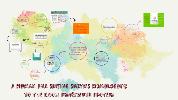 Batuhan Can Çobanoğlu by Fatıma Hacer Kurtoğlu on Prezi