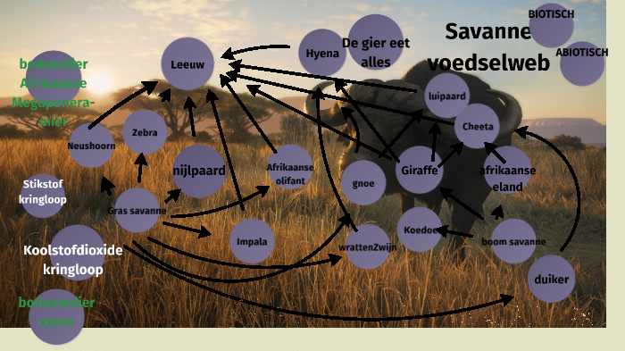 bio voedselweb by jochem slockers on Prezi