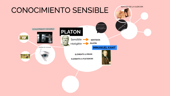 CONOCIMIENTO SENSIBLE by MARIA PAULA HERMIDA RENDON